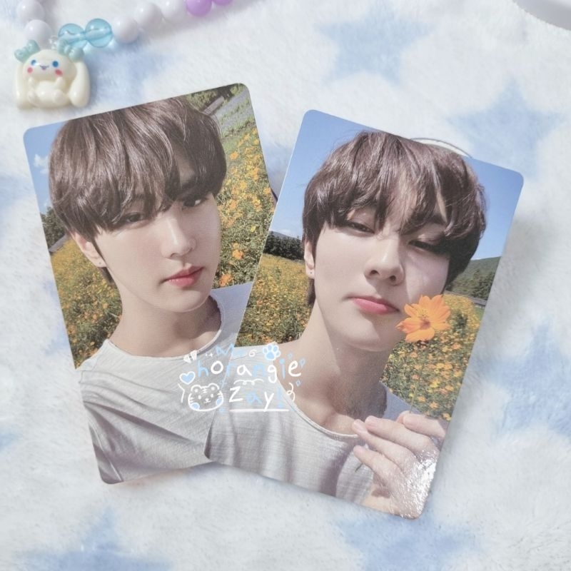 Jual Official Photocard Enhypen Orange Blood Selca Ver Jake Jay Sunoo Sunghoon Jungwon Heesung ...