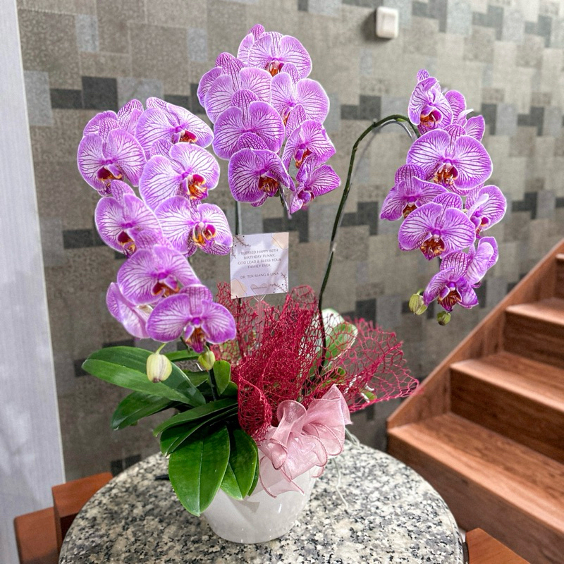 Jual Buket Anggrek Bulan Segar | Fresh Orchid Bouquet Vase Arrangement ...