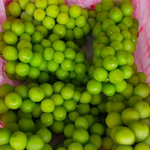 Jual ANGGUR HIJAU TANPA BIJI / SEEDLESS GREEN GRAPES | Shopee Indonesia