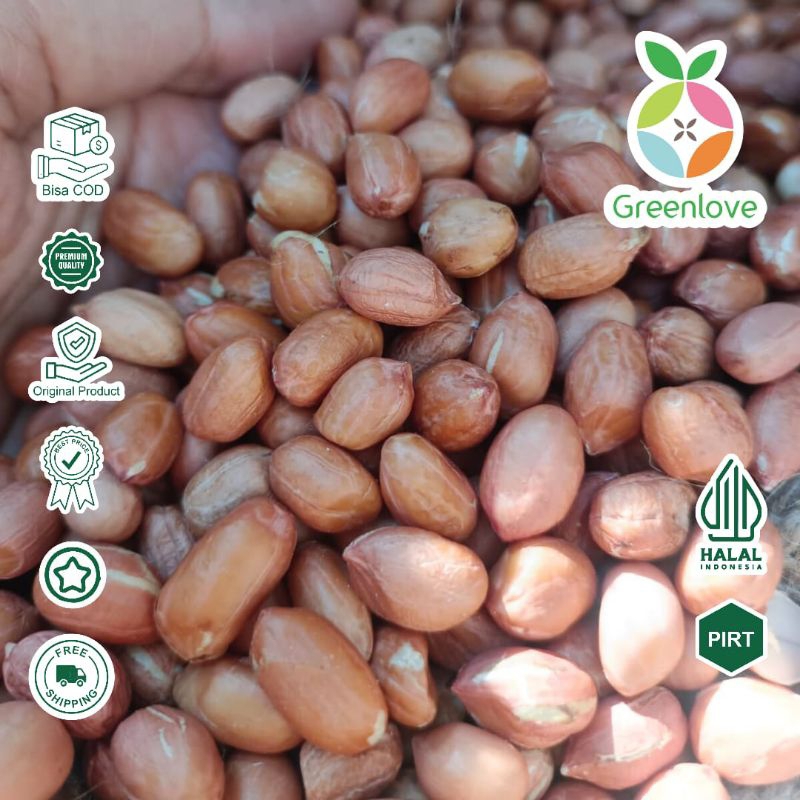 Jual kacang tanah Grade A ukuran besar sortir tangan// size 1 kilo ...