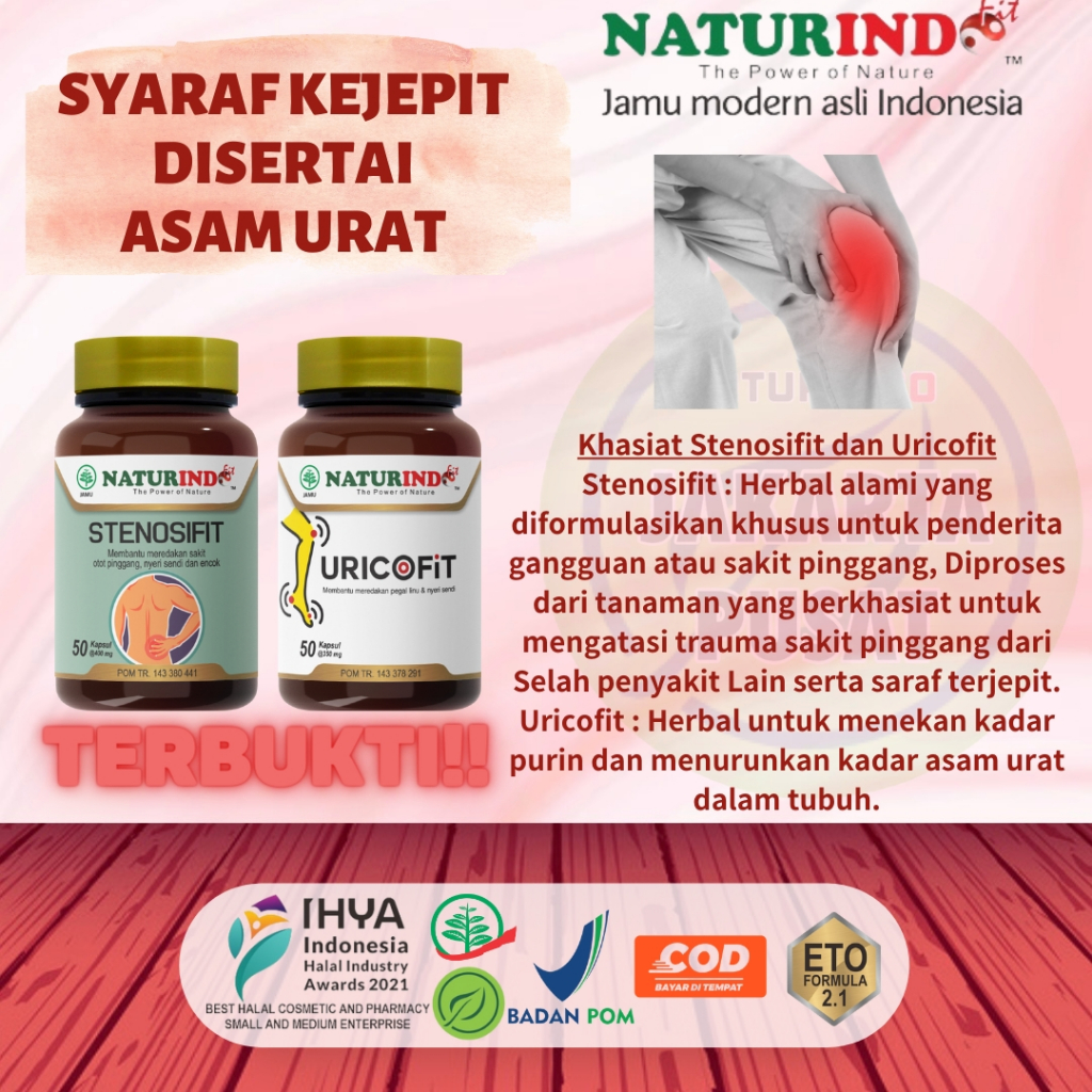 Jual Naturindo Stenosifit Obat Herbal Memperbaiki Meredakan Sistem ...