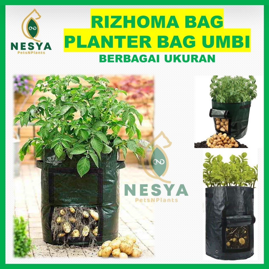 Jual Rizhoma Bag Pot Untuk Tanaman Umbi Rizhoma Planter | Shopee Indonesia