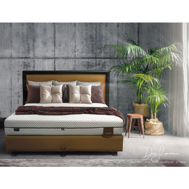 Jual Springbed Dreamline tipe Dr. Spine | Shopee Indonesia