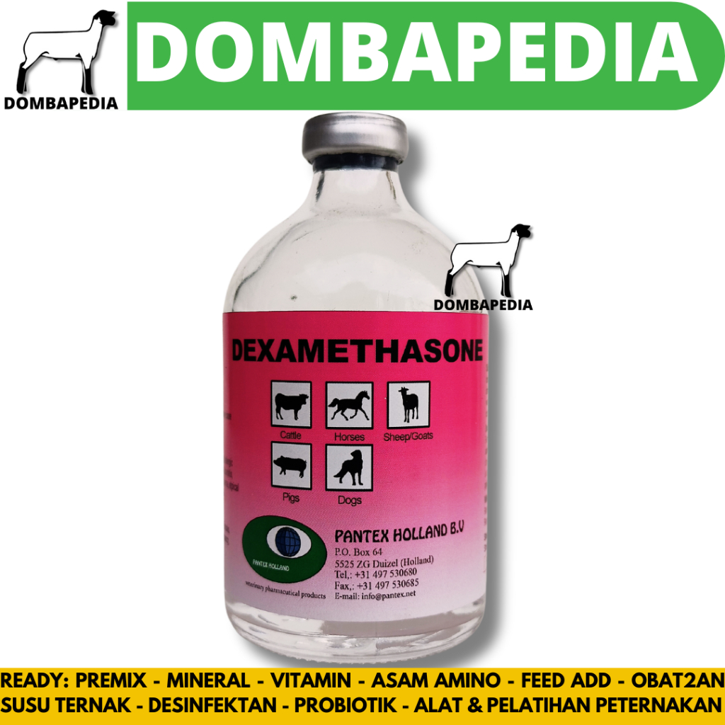 Jual PANTEX DEXAMETHASONE 100ML - Obat Anti Inflamasi Hewan - Pantex ...
