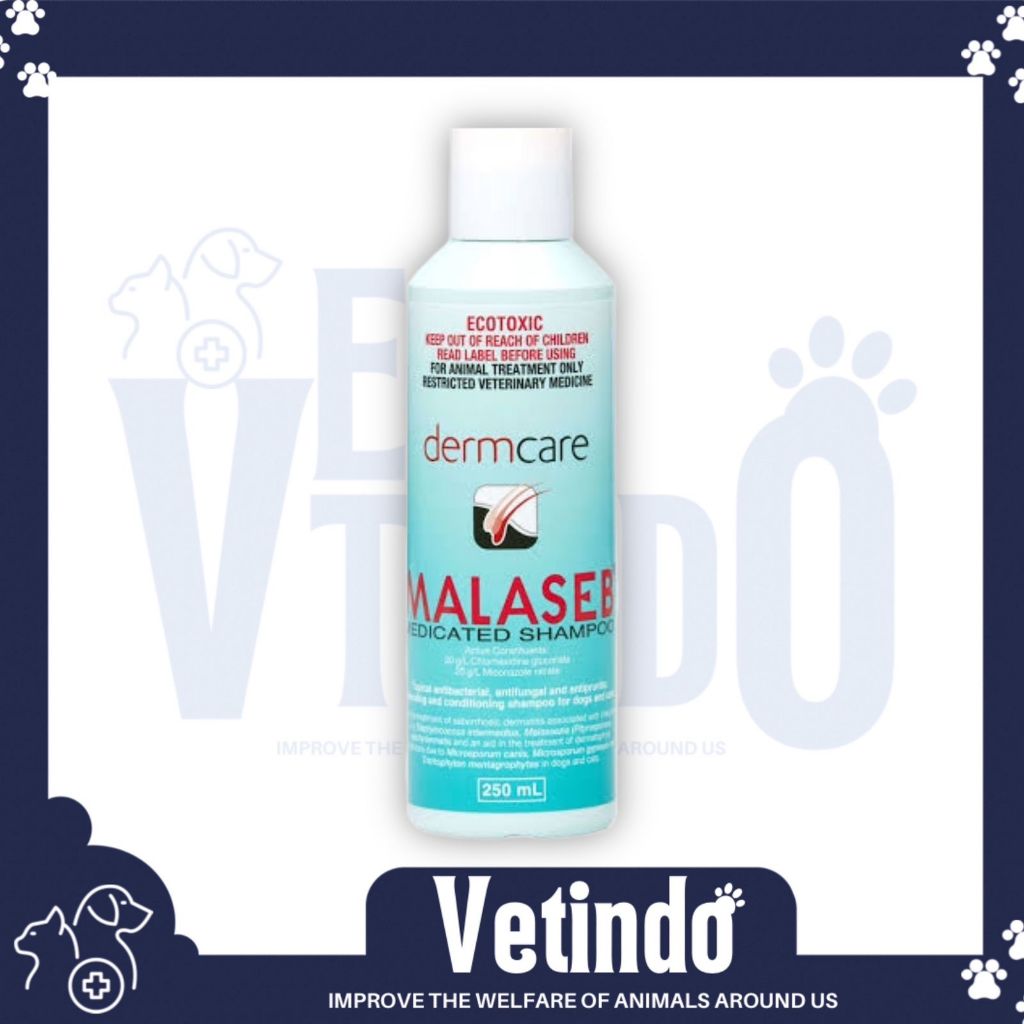 Jual Poison Malaseb Medicated Shampoo Dermcare 250 ml | Shopee Indonesia