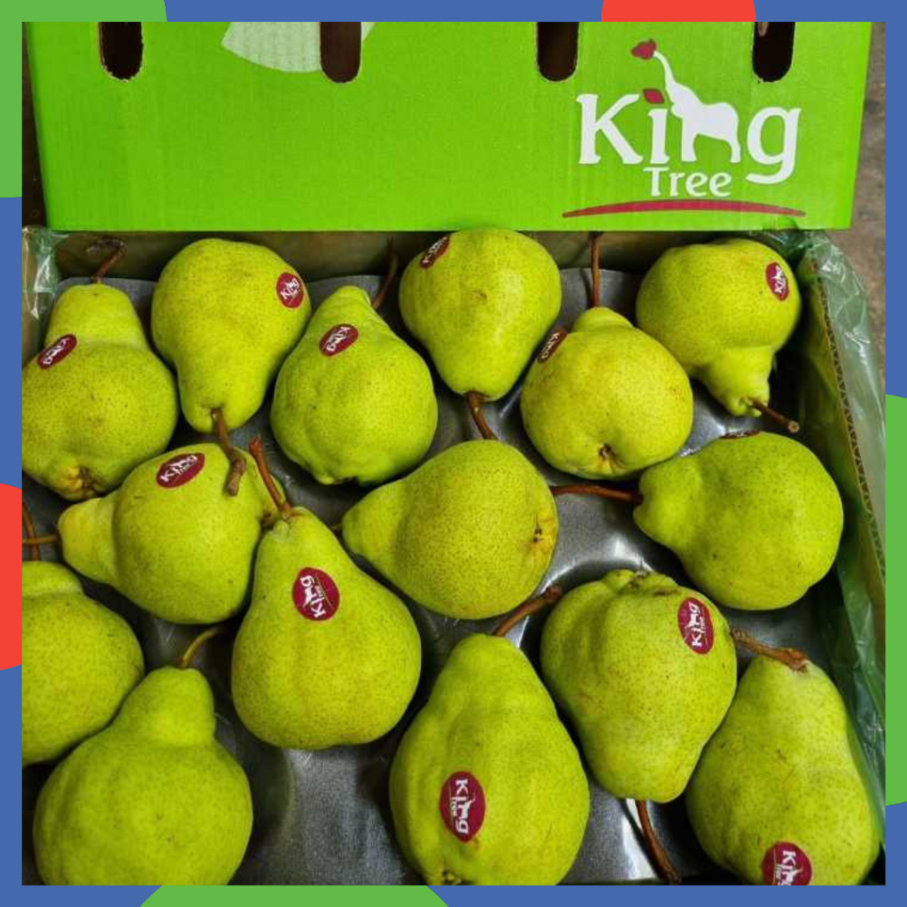 Jual Pear Packham DUS +- 12 KG | Shopee Indonesia