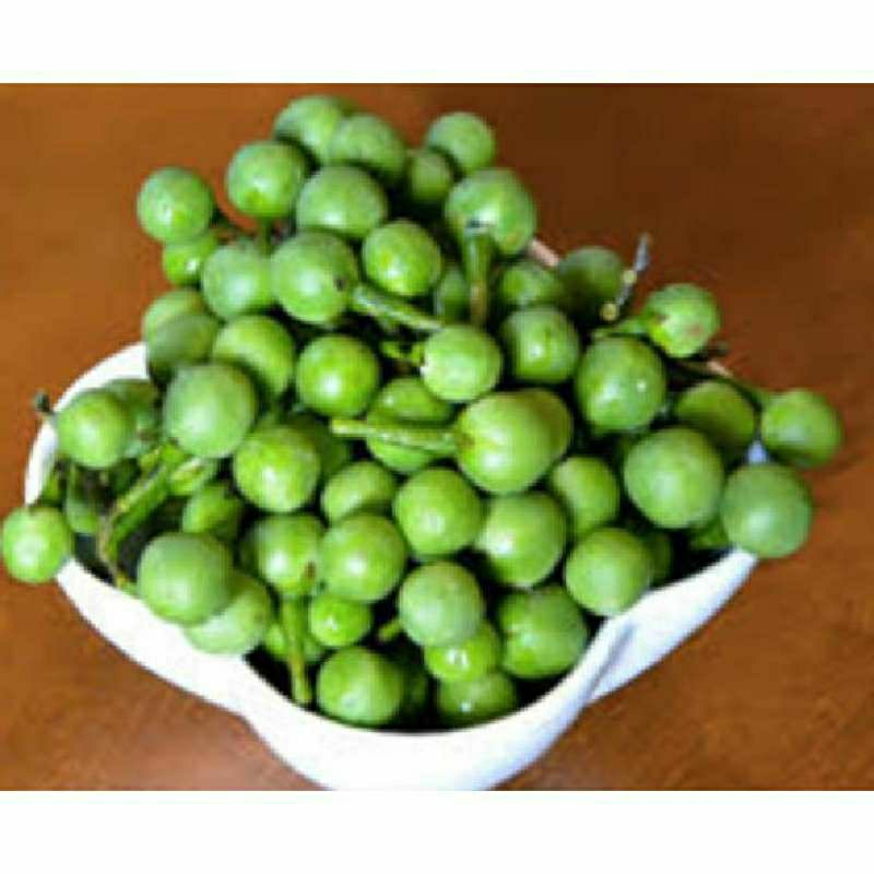 Jual Pokak segar 250 gram | Shopee Indonesia