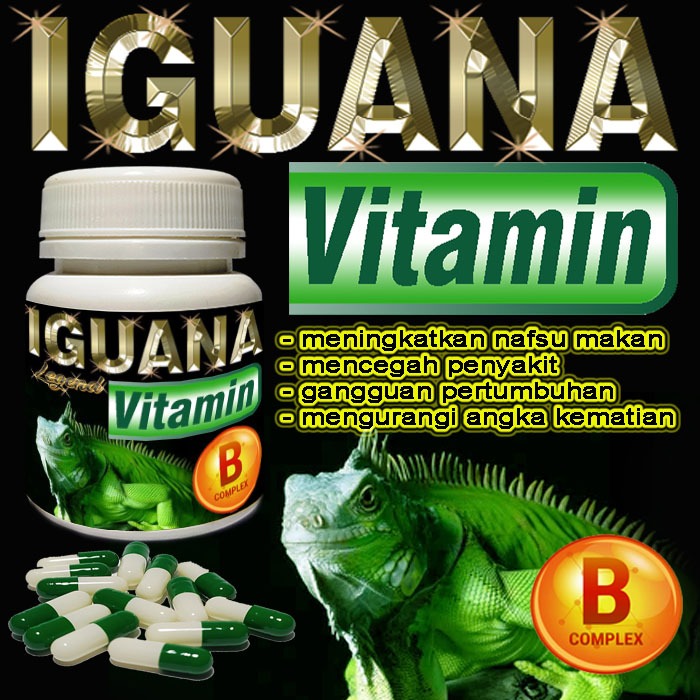 Jual IGUANA VITAMIN KAPSUL SUPLEMEN KESEHATAN IGUANNA HIJAU BATU ...