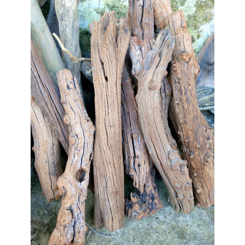 Jual kayu aquascape stigi gunung | Shopee Indonesia