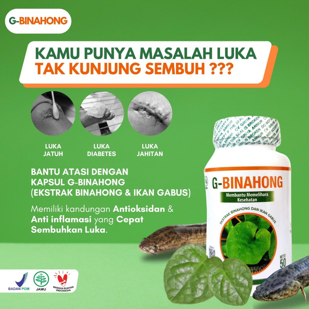 Jual KAPSUL BINAHONG Ekstrak Binahong Plus Ikan Gabus Obat Pasca Operasi Cesar Sesar Dan Semua ...