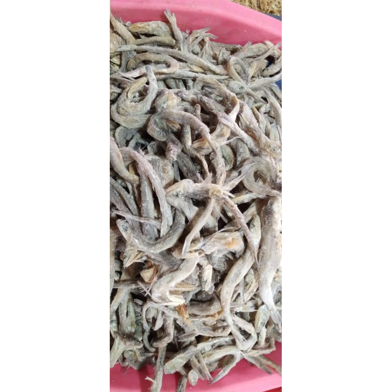 Jual IKAN KACANG-KACANG 1kg/IKAN ASIN KACANG-KACANG | Shopee Indonesia