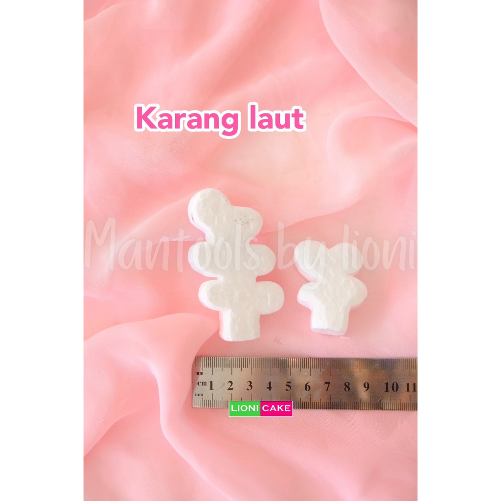 Jual GABUS KUE KARANG LAUT BESAR / KARANG LAUT KECIL DUMMY STYROFOAM ...