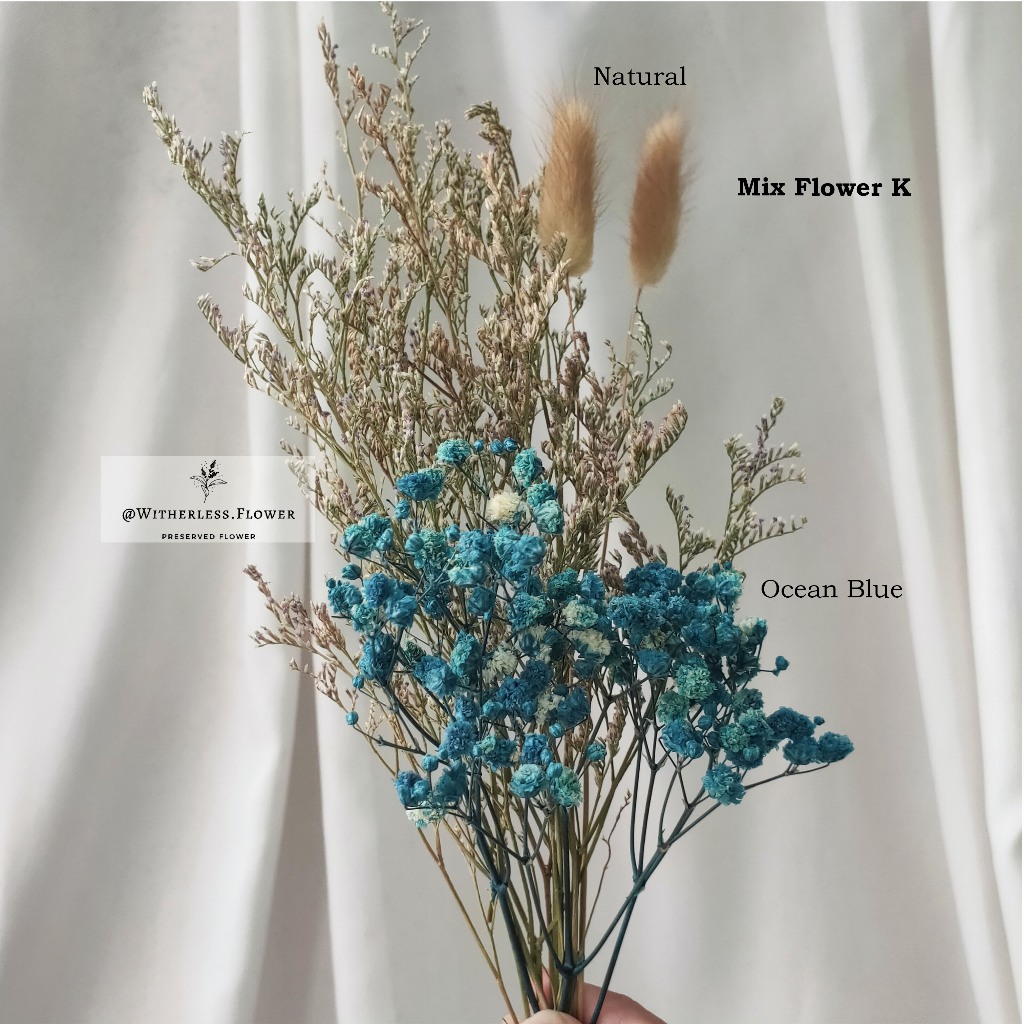 Jual Mix Dried & Preserved Flower Mini / Dried Flower Awetan / Bunga ...