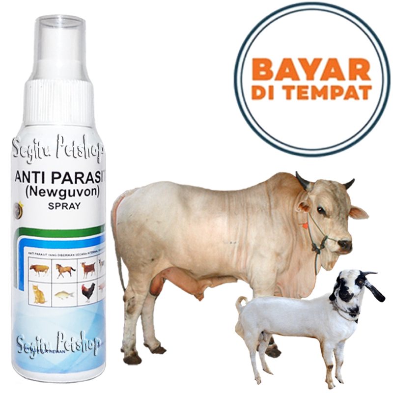 Jual OBAT KUTU SAPI KAMBING TERNAK PEMBASMI PARASIT NEWGUVON SPRAY ...
