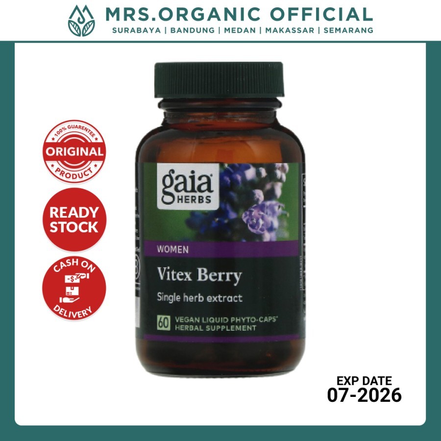 Jual suplemen herbal promil wanita vitex berry gaia 60 kapsul | Shopee ...