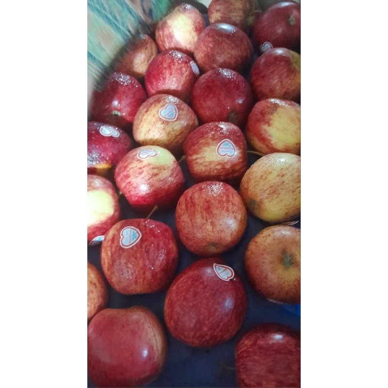 Jual Apel Royal Gala 1 kardus 17 kg | Shopee Indonesia