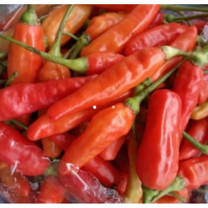 Jual Cabai Rawit Merah / Cabai Setan | Shopee Indonesia