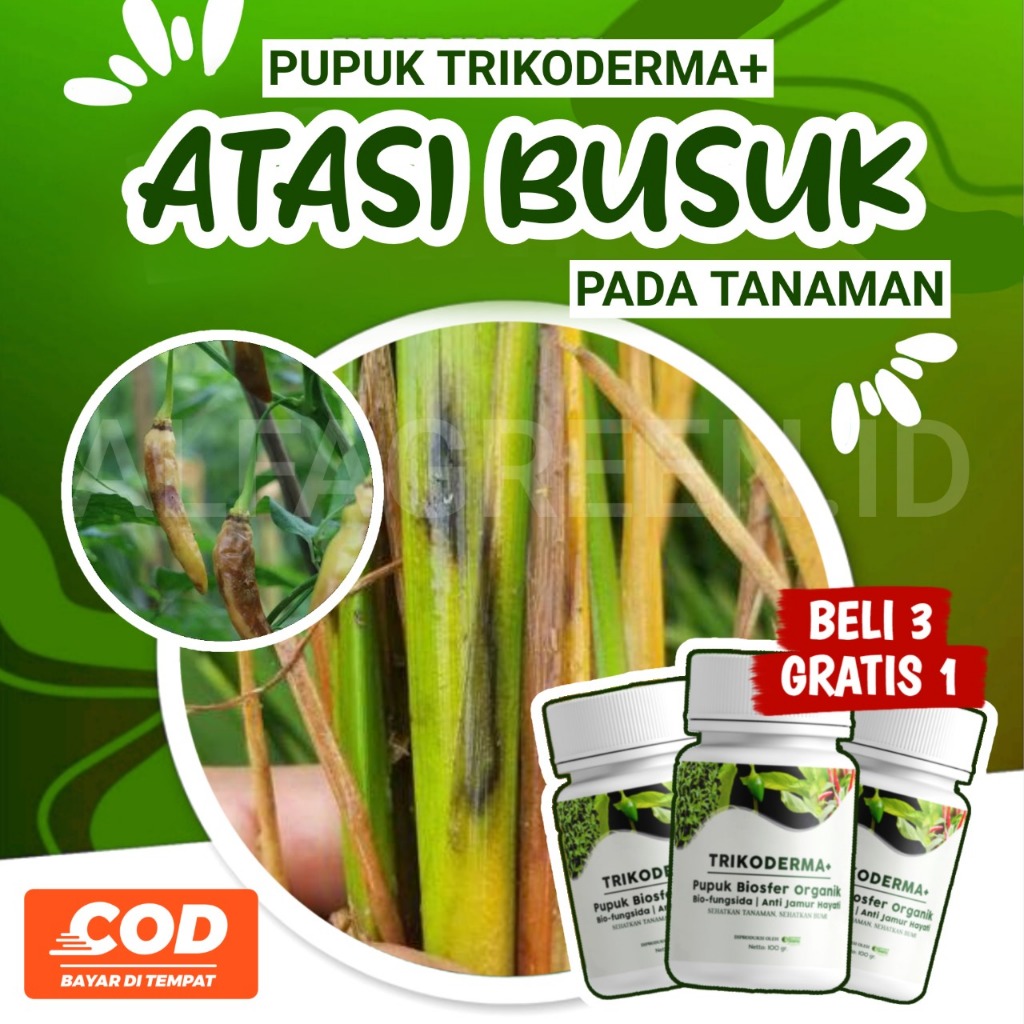 Jual ALFAGREEN-Bio-Fungisida Tricoderma Plus Pupuk Biosfer Anti Jamur ...