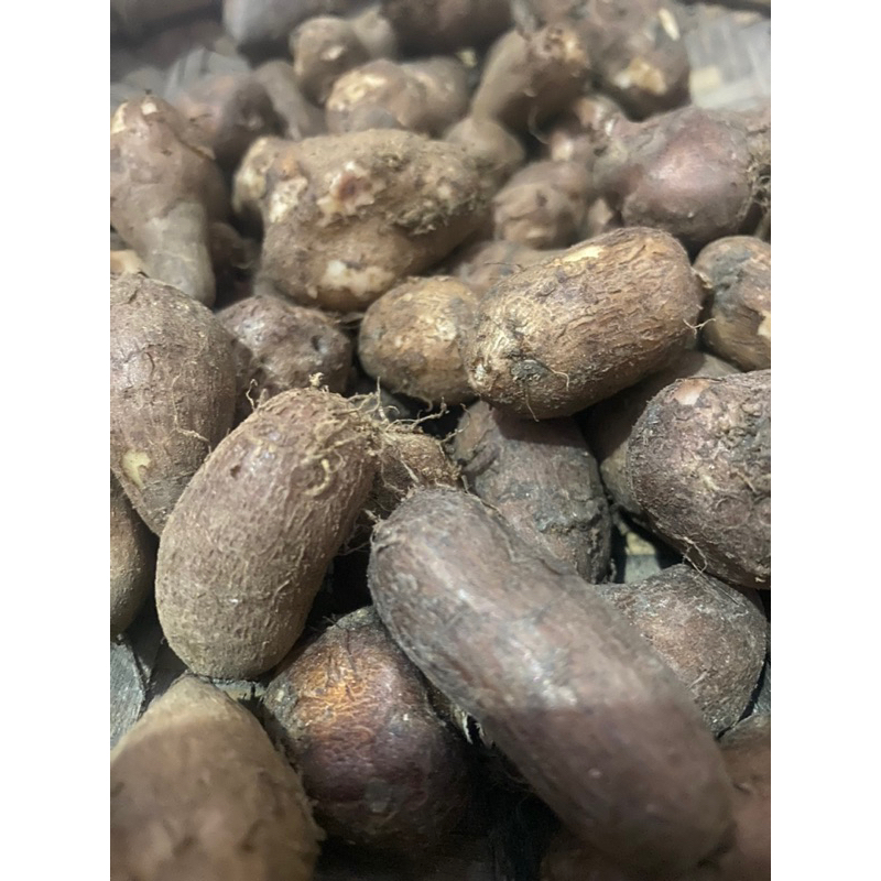 Jual ubi kentang klici kentang hitam kentang sabrang fresh 1kg | Shopee ...