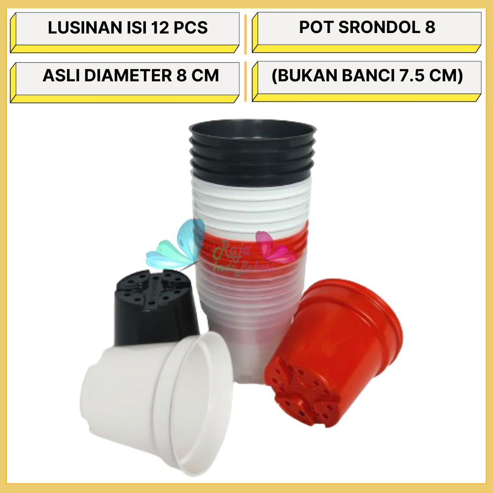 Jual LUSINAN 12PCS Pot Tinggi Srondol 8 Coklat Merah Bata Hitam Putih ...