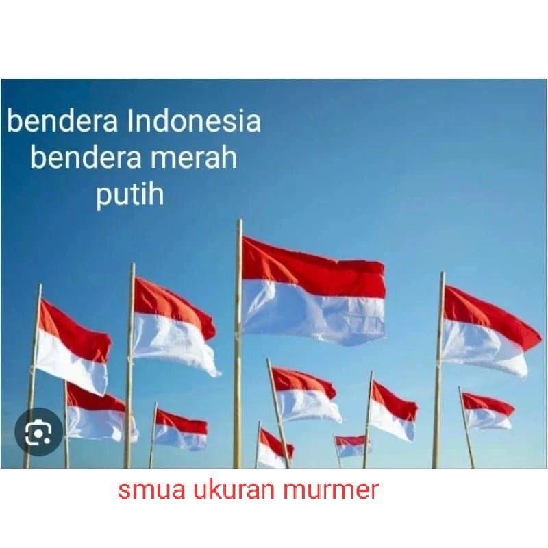 Jual bendera merah putih 1kodi isi 20 pcs ukuran 120x80 biasa ukuran ...