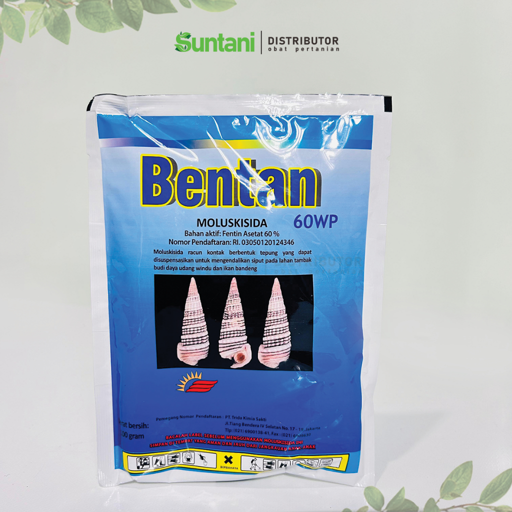 Jual Bentan 60wp - 100gr Moluskisida ( Racun siput keong sawah ) 100% original | Shopee Indonesia