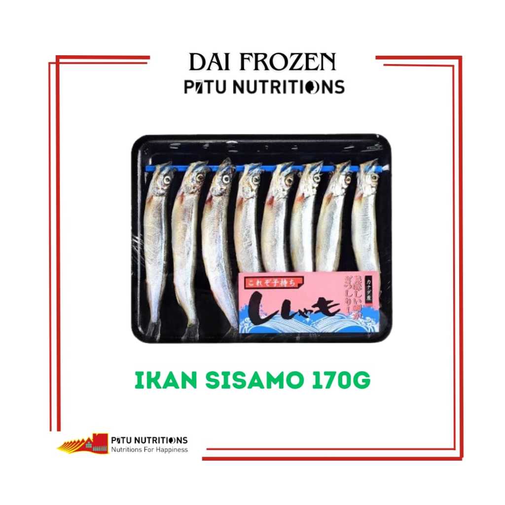 Jual IKAN sisamo / capelin /ikan cipung 170g | Shopee Indonesia