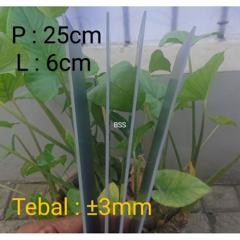 Jual PVC Lembaran Paralon Ukuran 6cm x 25cm Bahan Miniatur, Tebal : ±3mm | Shopee Indonesia