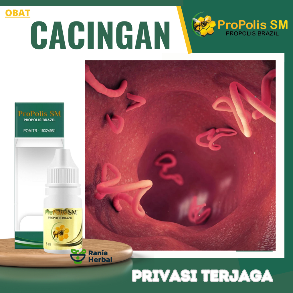 Jual Obat Cacingan, Obat Infeksi Cacing Di Perut Usus, Obat Infeksi ...