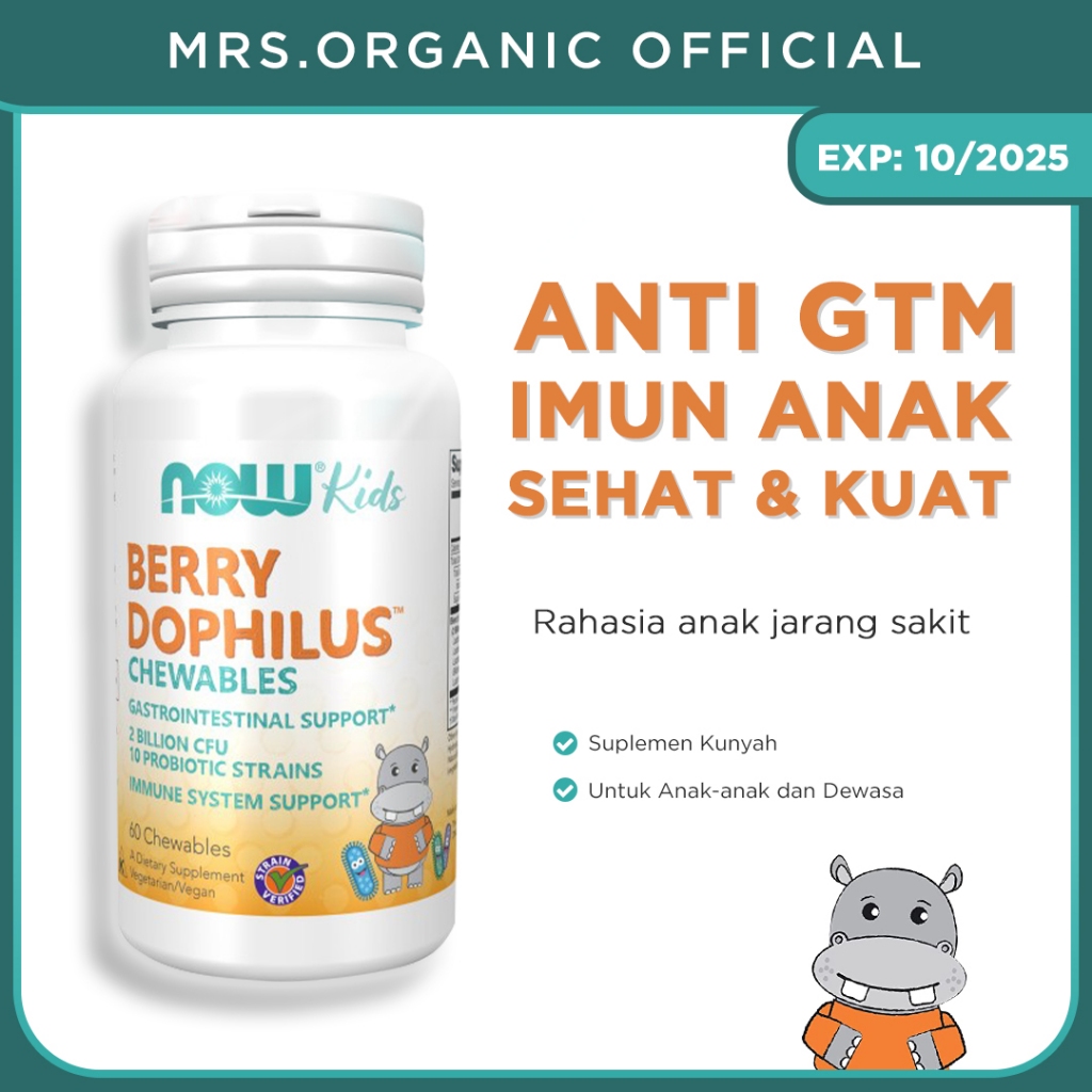 Jual NOW Foods Berry Dophilus Kids 2 Billion 60 Chewables - probiotik ...