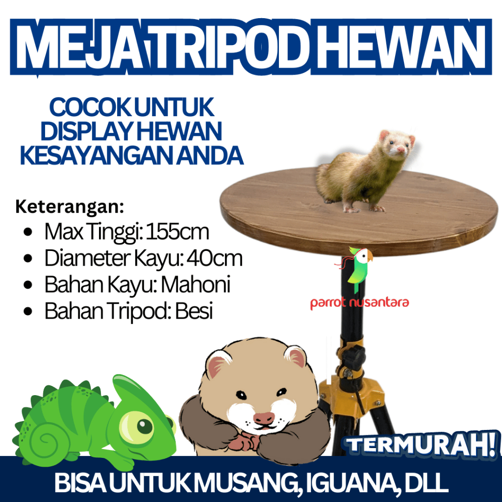 Jual Meja Tripod Besi Besar Murah - Cocok Untuk Musang. Sugar Glider ...