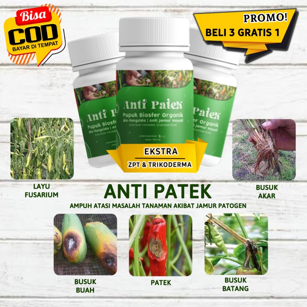 Jual Anti Patek Cabai beli 3 gratis 1 Tricoderma Plus Pupuk Biosfer ...