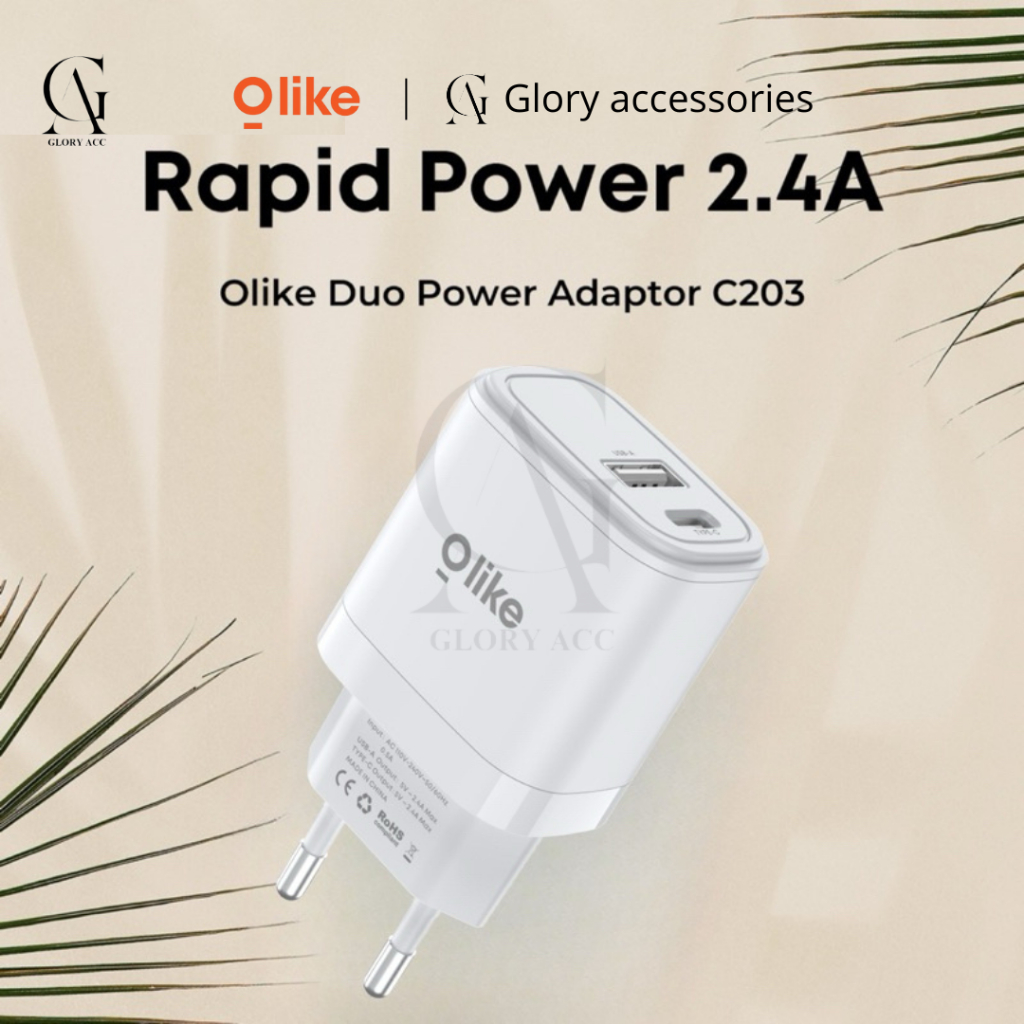 Jual Olike C203 Kepala Charger 2,4A Adaptor A+C ( USB + TYPE-C ...