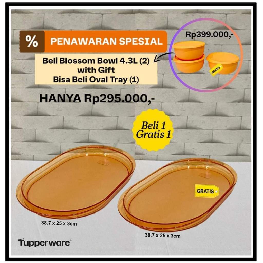 Jual Tupperware oval server tray nampan makanan warna ungu harga 1 pcs ...