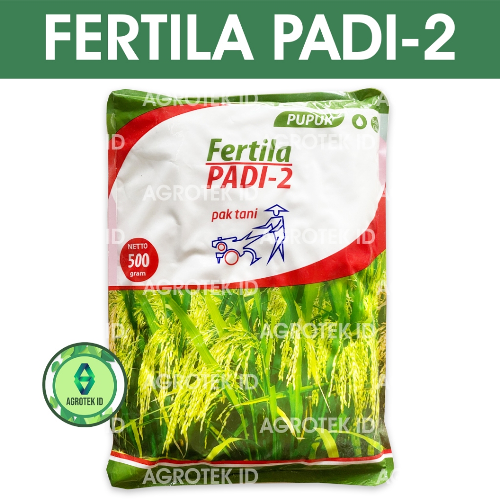 Jual FERTILA PADI 2 500 gram Pupuk Tanaman Padi Fase Generatif | Shopee ...