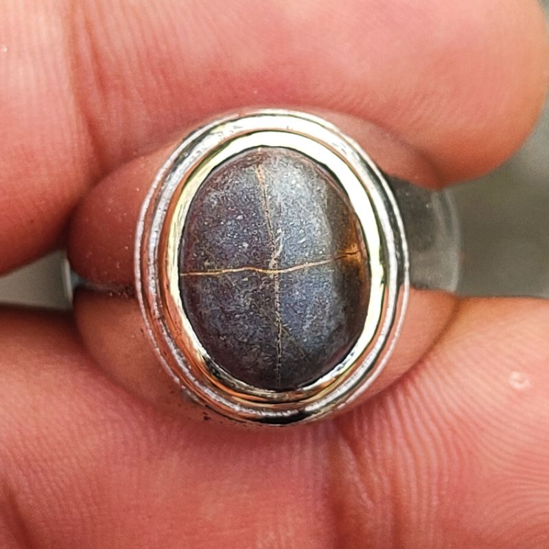 Jual BATU AKIK TAPAK JALAK BADAR BESI TALI EMAS KODE 03180 | Shopee ...