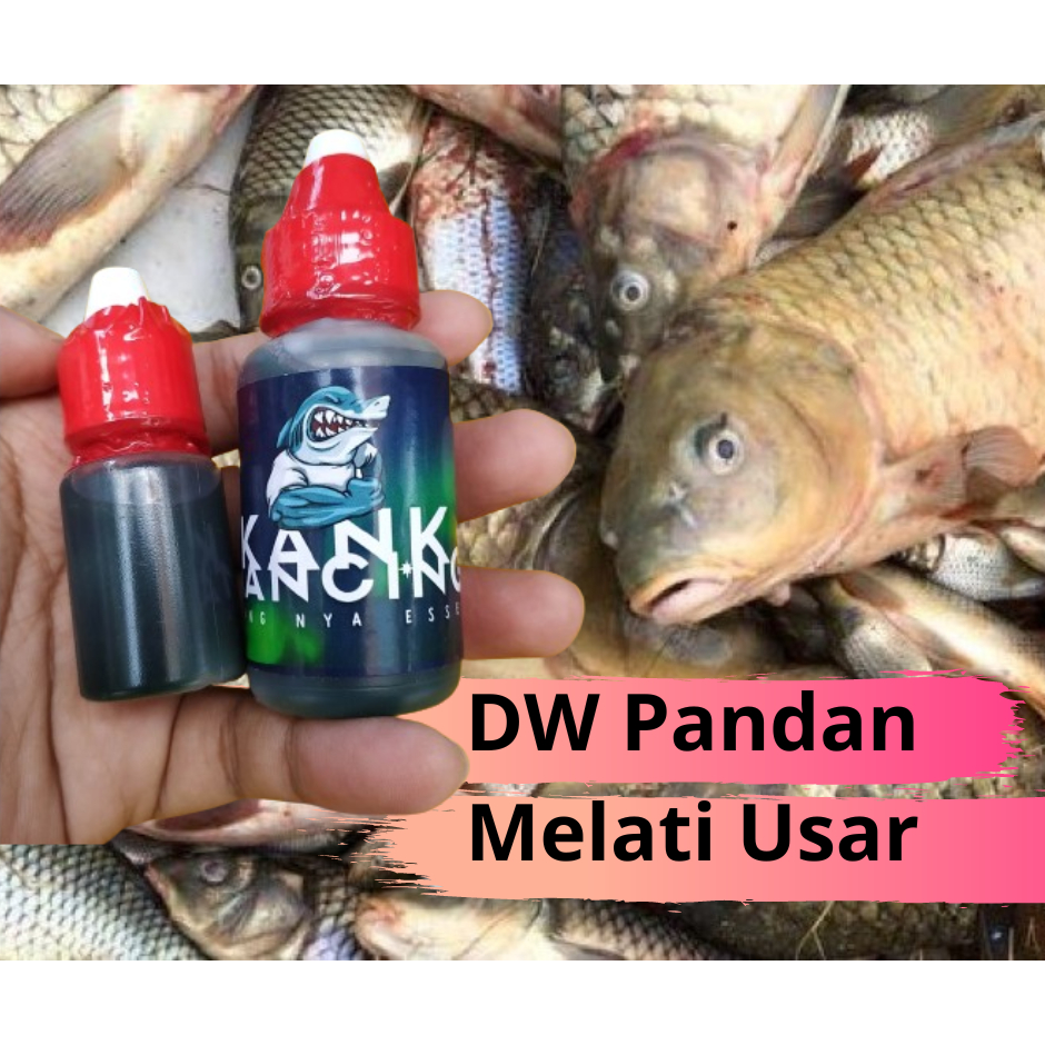 Jual Essen Ikan Mas Merk Kang Mancing Aroma Dominan Wangi Paling ...