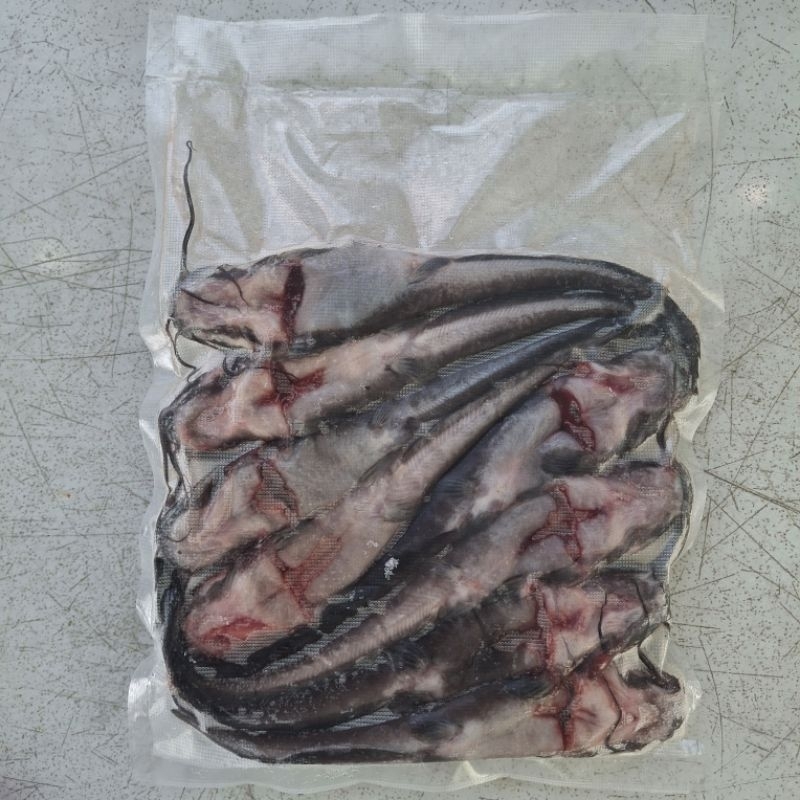 Jual Ikan Lele Frozen | Shopee Indonesia