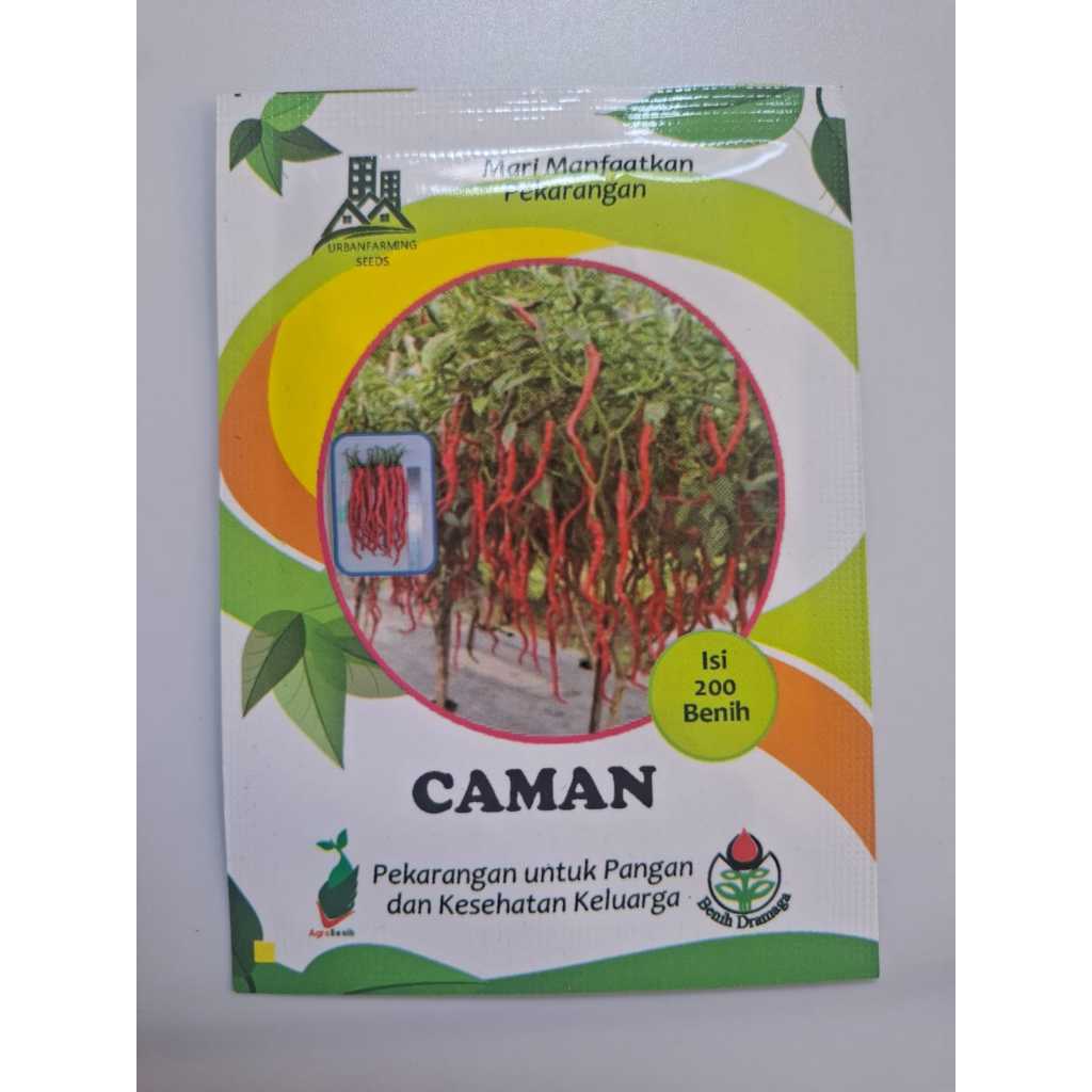 Jual 200 Butir Benih Cabe Keriting Caman IPB Exp 2025 | Shopee Indonesia