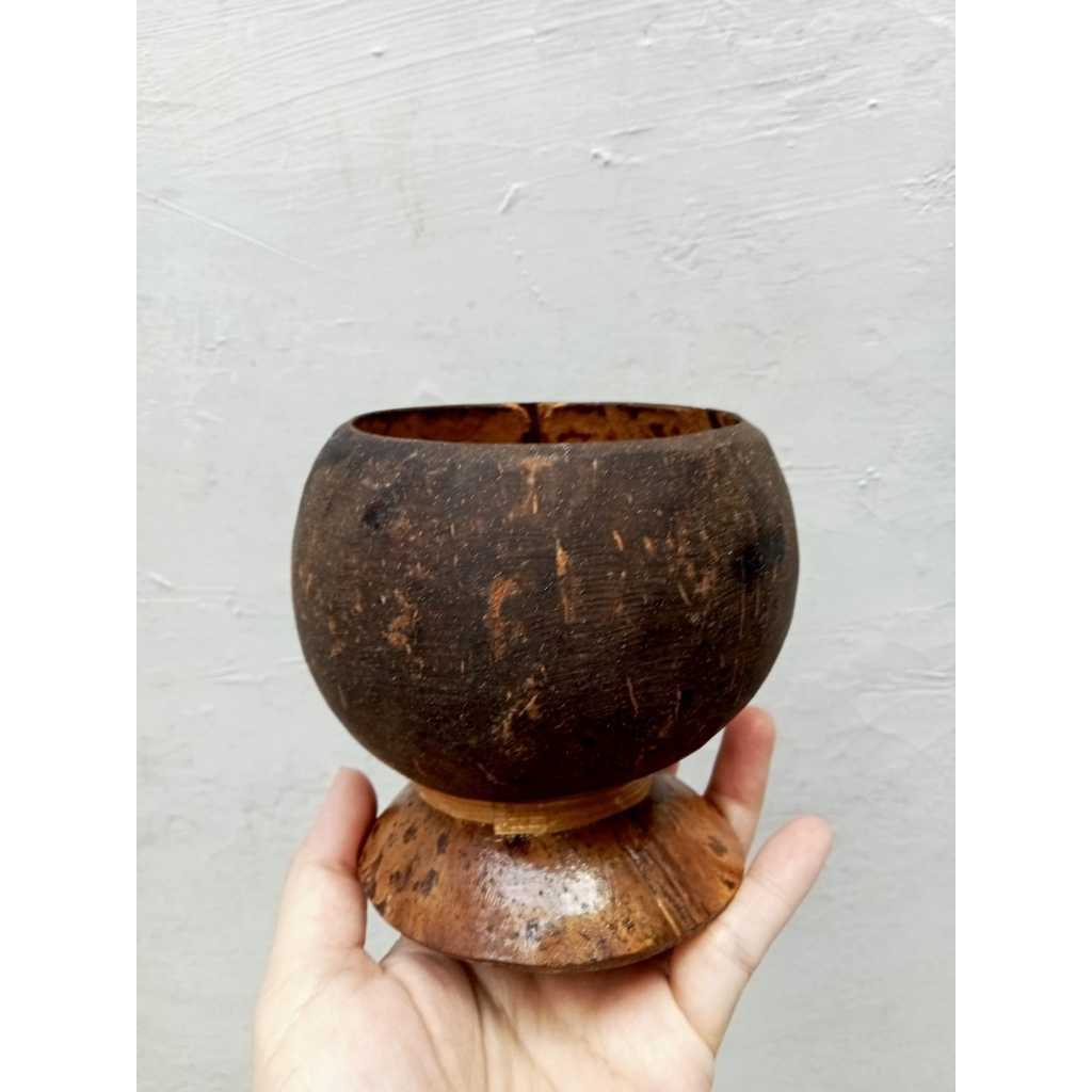 Jual Gelas batok kelapa/Cangkir batok kelapa tradisional | Shopee Indonesia