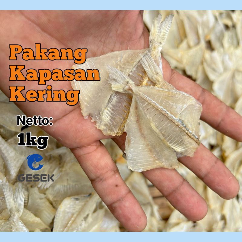 Jual Ikan Asin Tipis Pakang Kapasan Kering 1kg Makanan Laut Kering ...