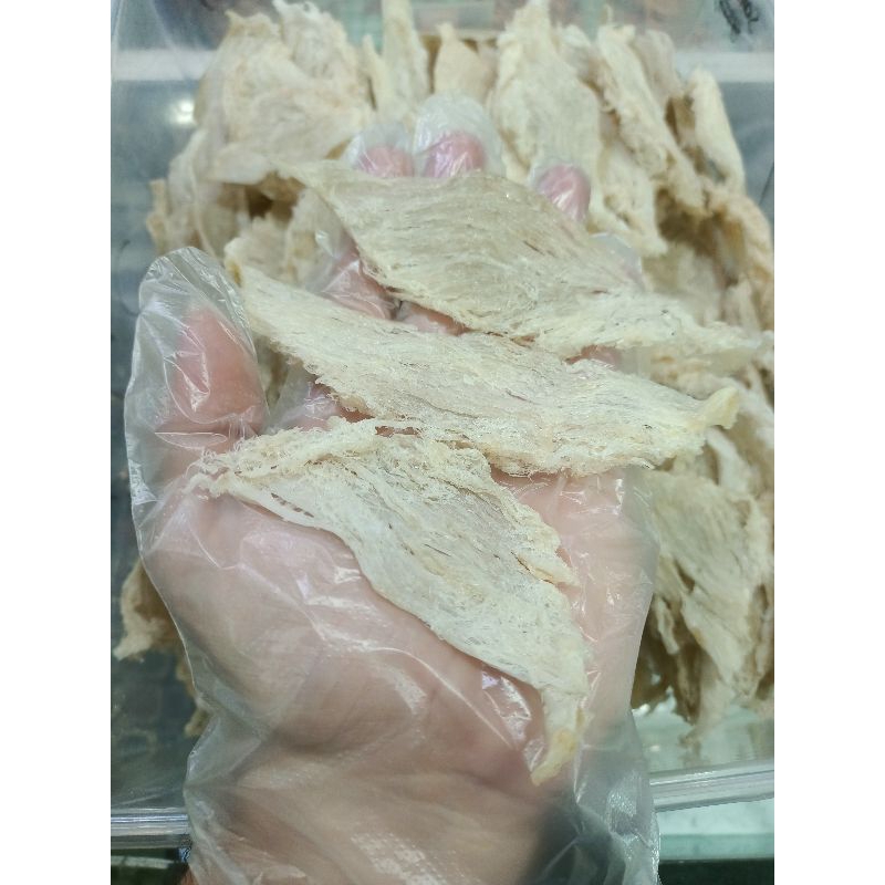 Jual Sarang Burung Walet Utuh Model Lempeng - Kualitas Premium | Shopee ...