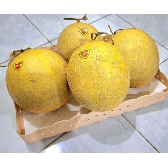 Jual Melon Inthanon Manis Per 1 Buah | Shopee Indonesia