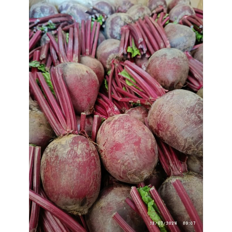 Jual buah bit/beet root 1 kg fresh free packing kardus | Shopee Indonesia