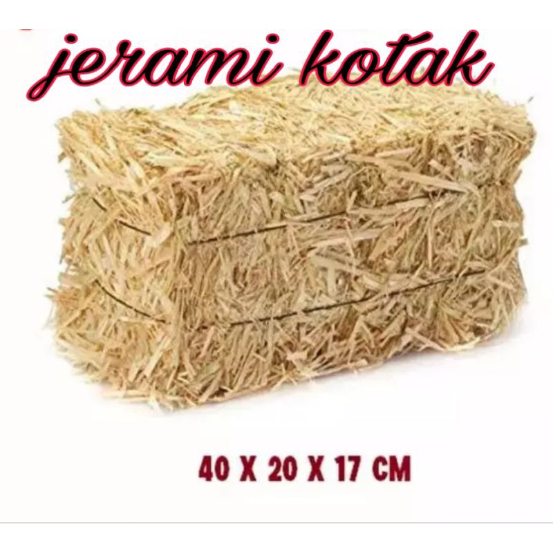 Jual jerami kotak | Shopee Indonesia
