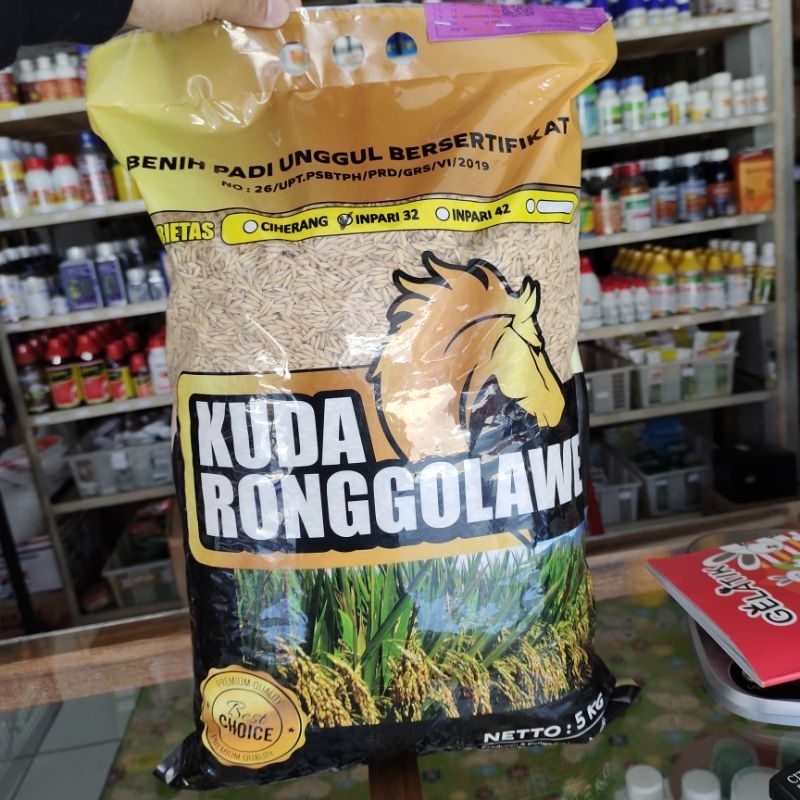 Jual Benih Padi Unggul Kuda Ronggolawe Inpari 32 | Shopee Indonesia