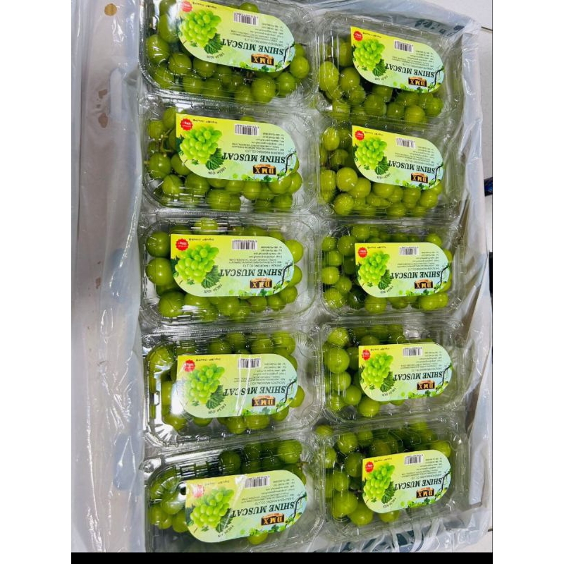 Jual anggur hijau muschat | Shopee Indonesia