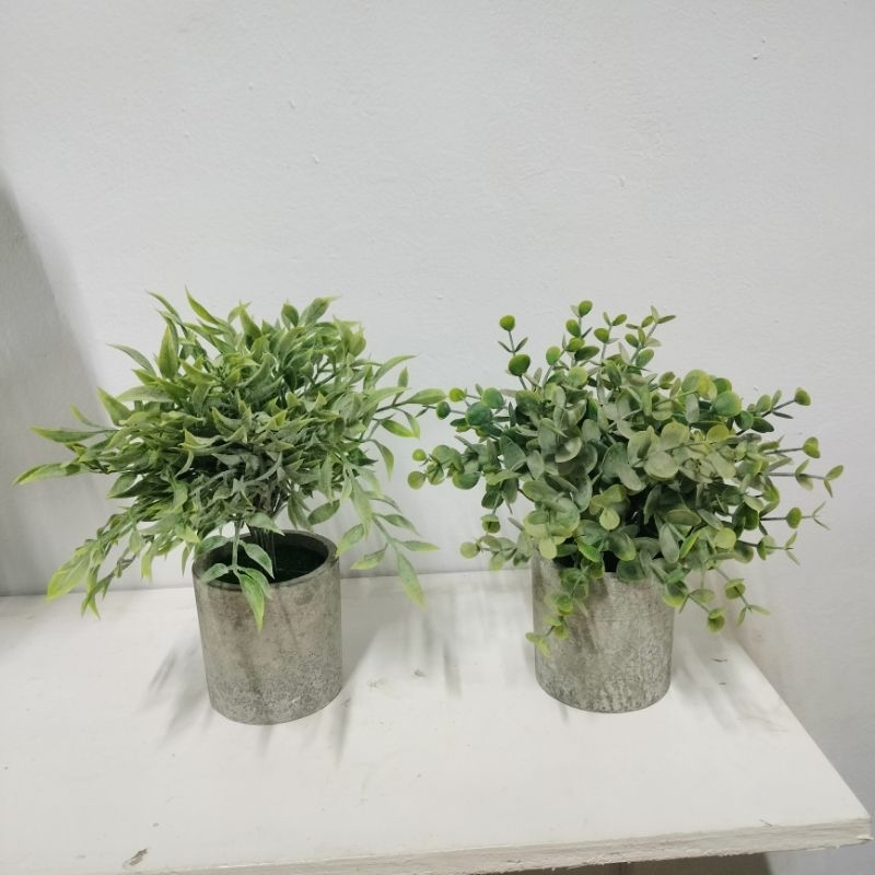Jual Tanaman Hias Artificial Daun Ruscus dan Daun Silver Dolar ...