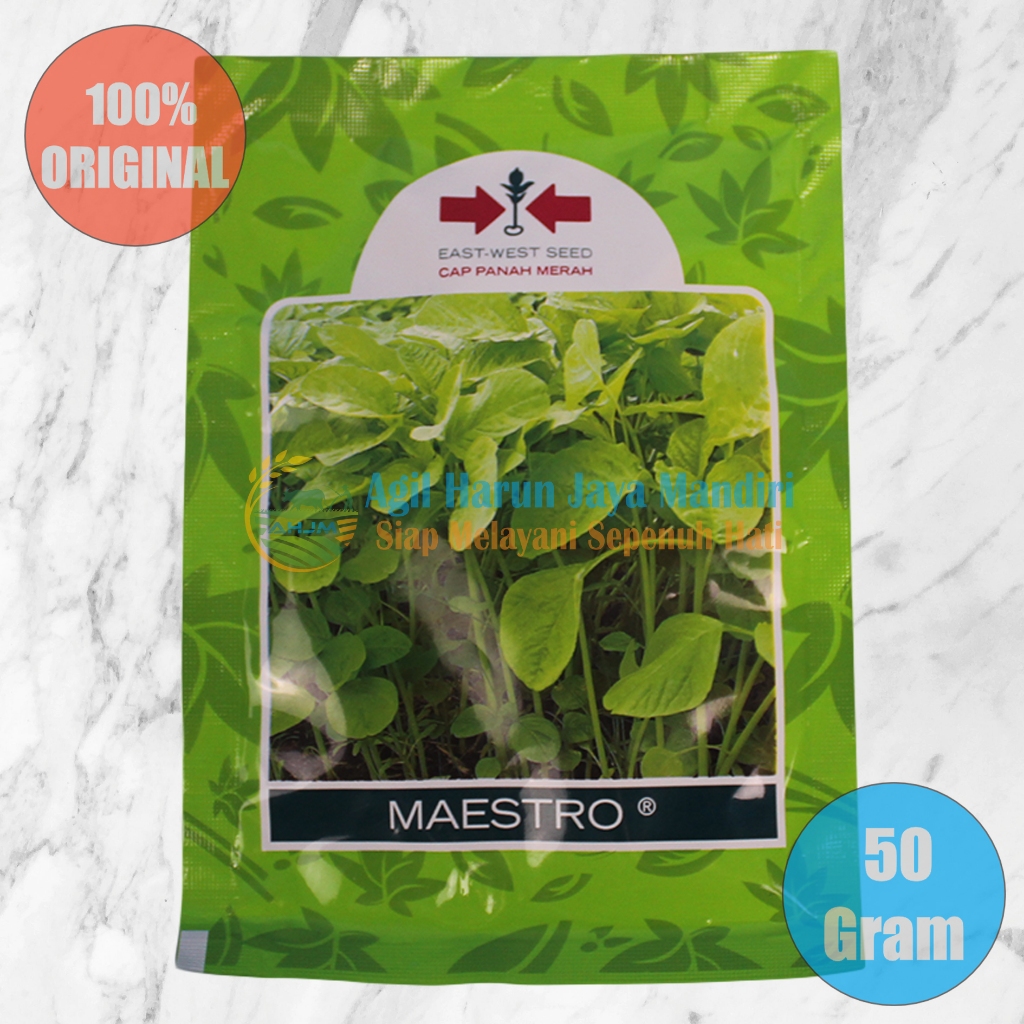 Jual Benih Bibit Bayam Hijau Maestro Kemasan 50 Gram Cap Panah Merah ...