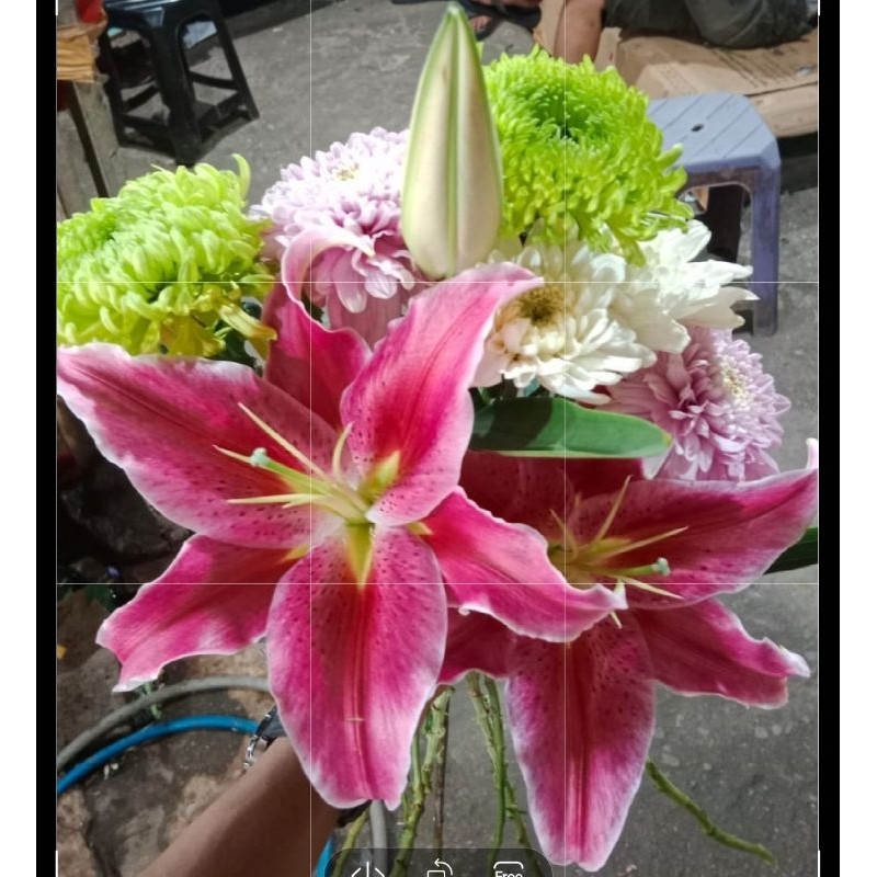 Jual bunga potong/bunga segar/bunga campur untuk vas/buket | Shopee ...